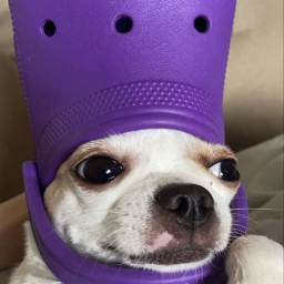 Alpha Dawg on Lospec