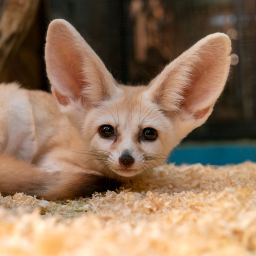 Lospec is supported by Patreon!