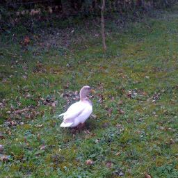 Isaac Duncan on Lospec