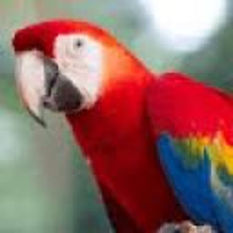 Mateo Gamboa on Lospec