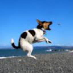 Noah Lester on Lospec