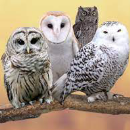 Owl Master on Lospec