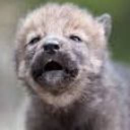 Payton Martin on Lospec