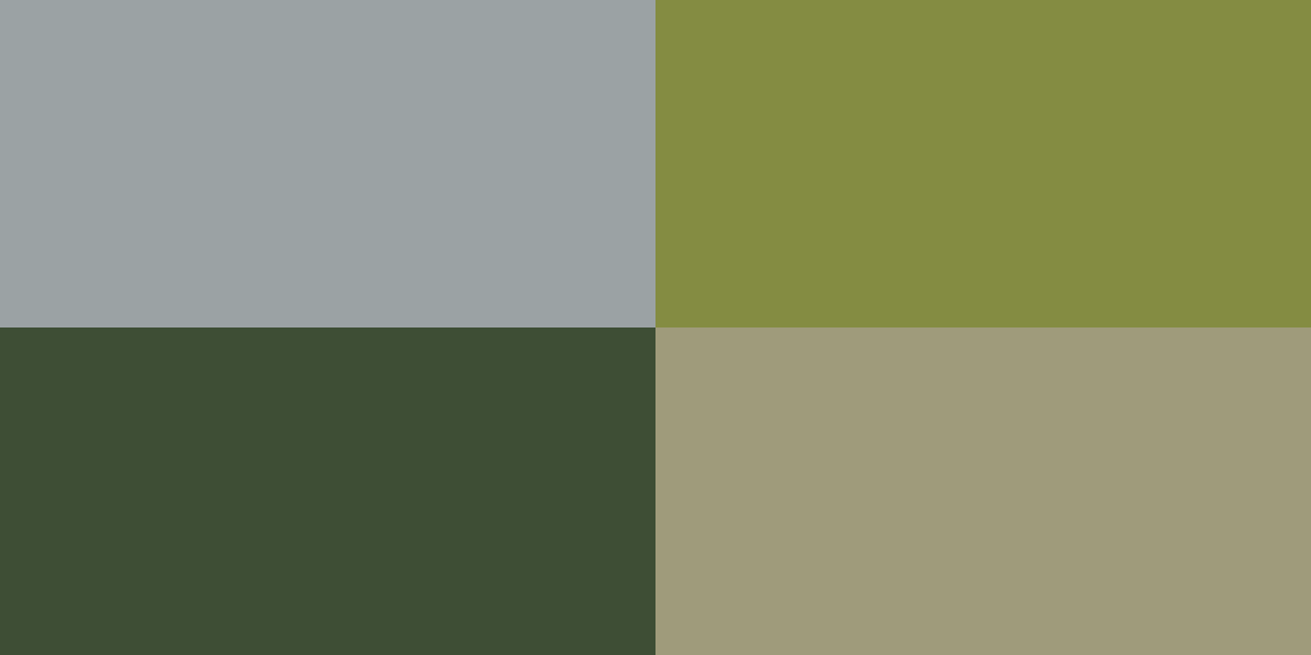 MC RAZO Palette