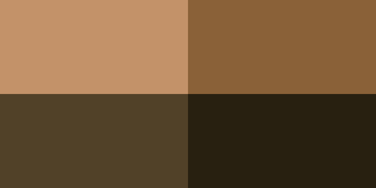 Pokémon DPP Pokétch - orange Palette